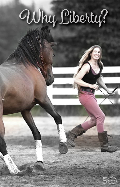 Why Liberty Training? - Lyndsi Pratt Horsemanship